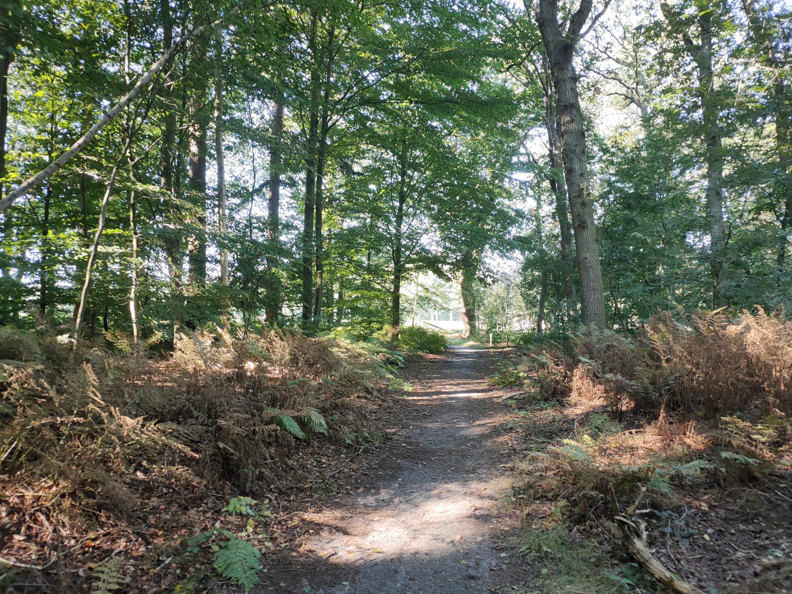 NatuurSchuur Gaasterland - AlleWandelRoutes.nl