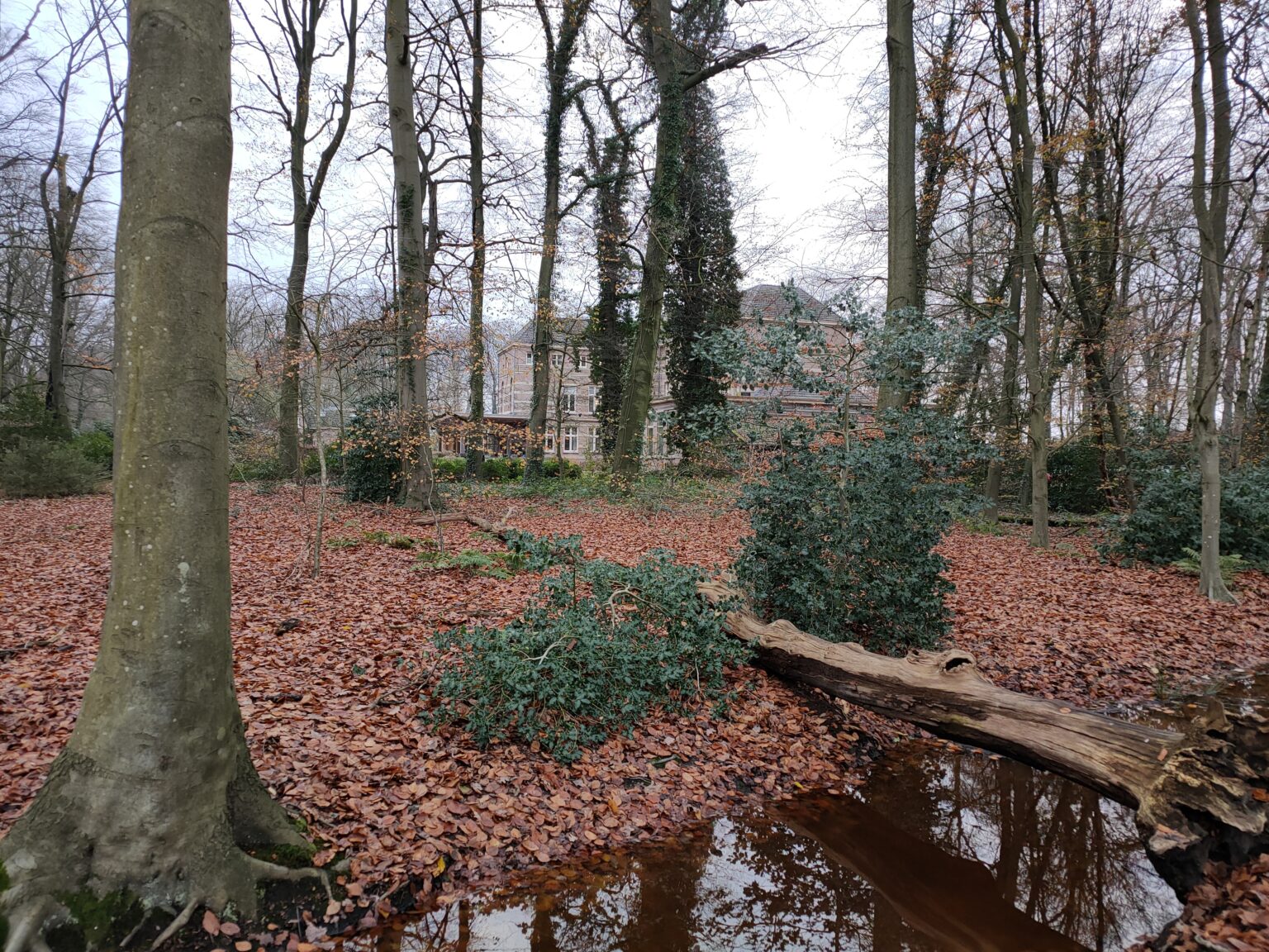 Wandelroute Het Kasteel - AlleWandelRoutes.nl