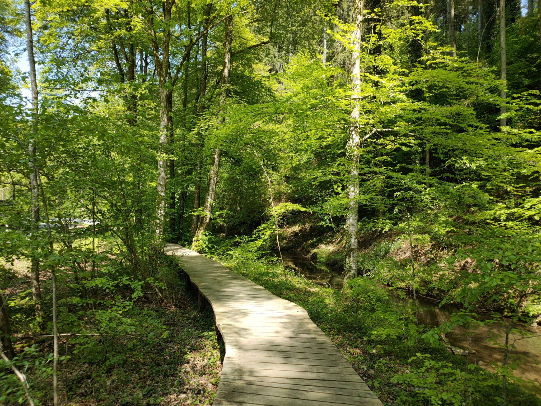 De 6 mooiste wandelroutes van Luxemburg - Mullerthal